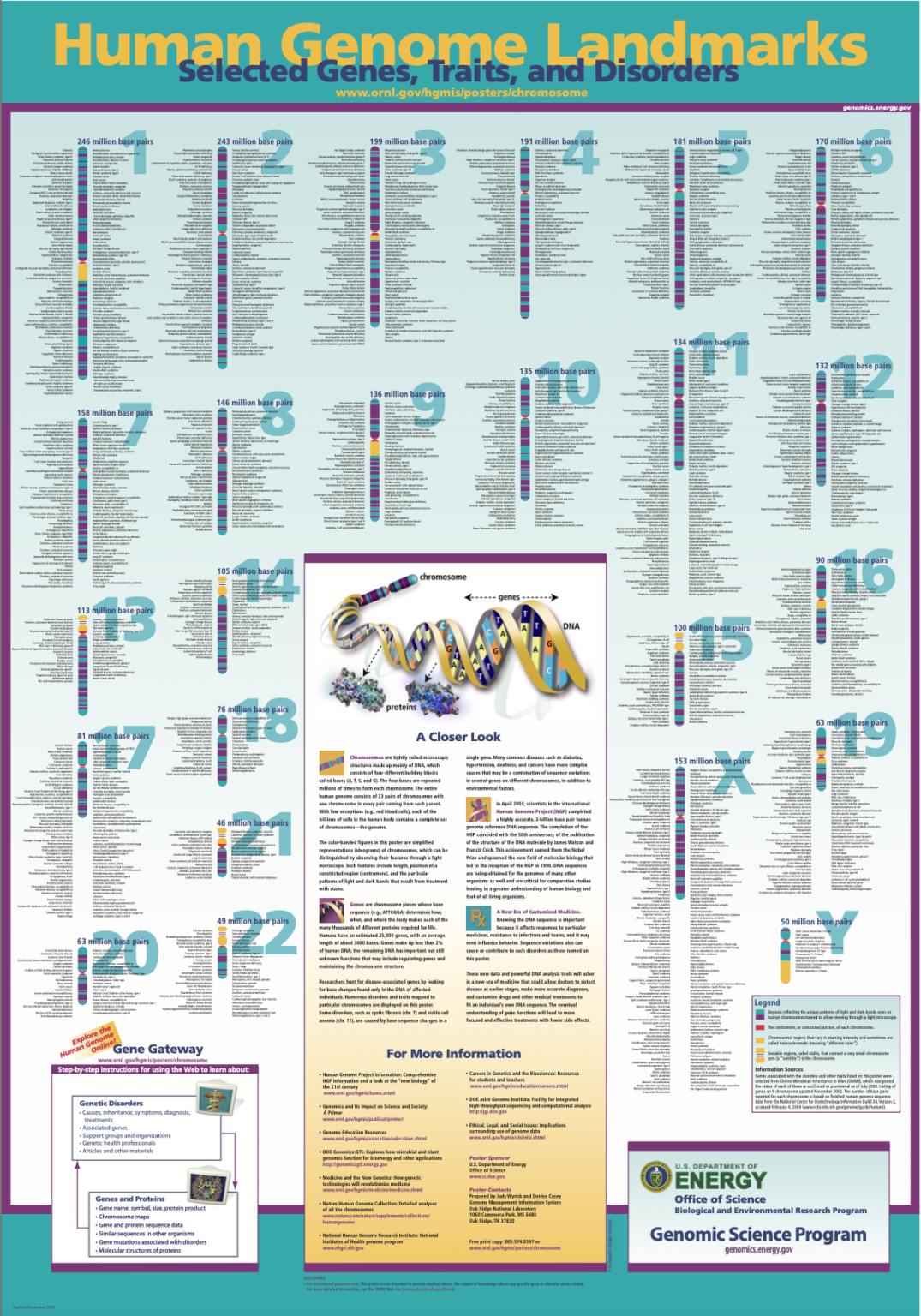 Chromosome Viewer | Human Genome Project