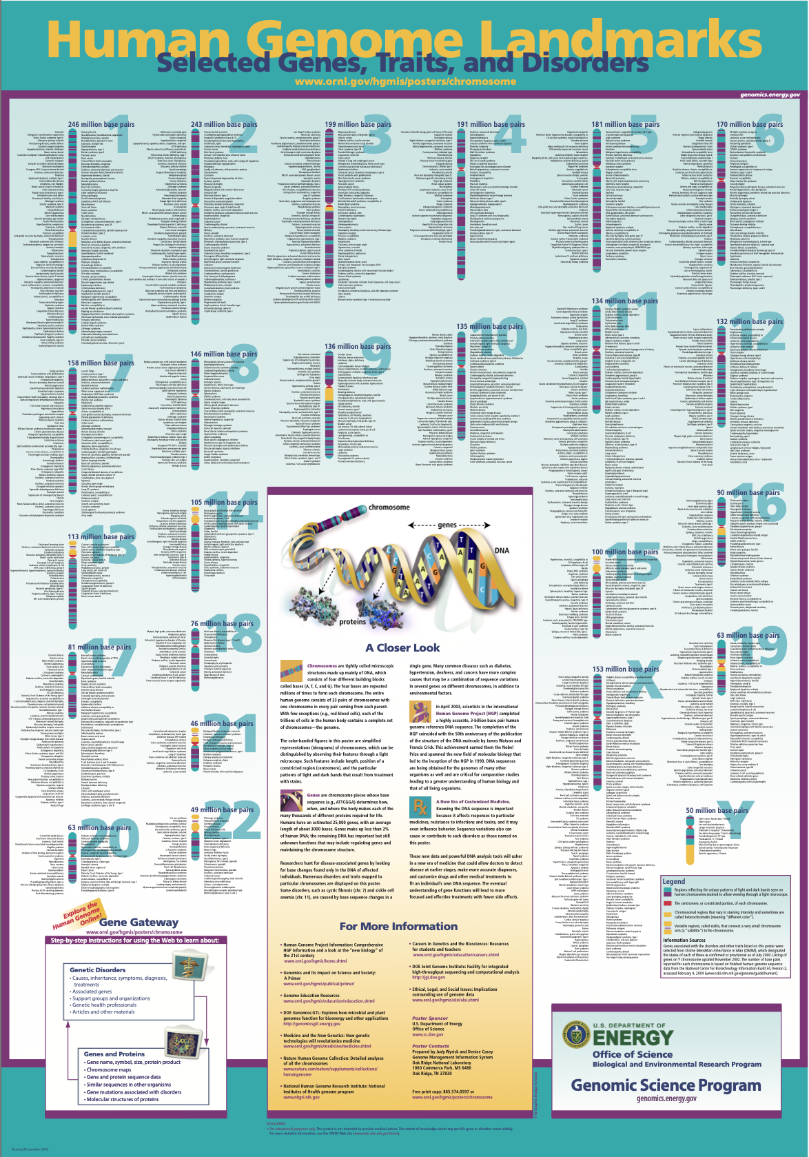 Chromosome Viewer | Human Genome Project